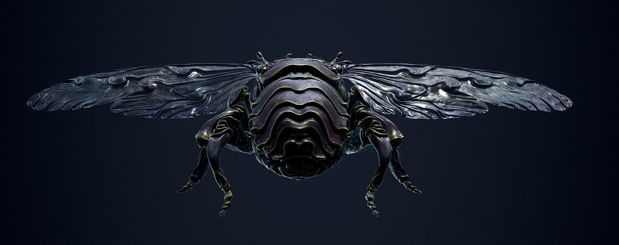 Bug insect - ZBrushCentral