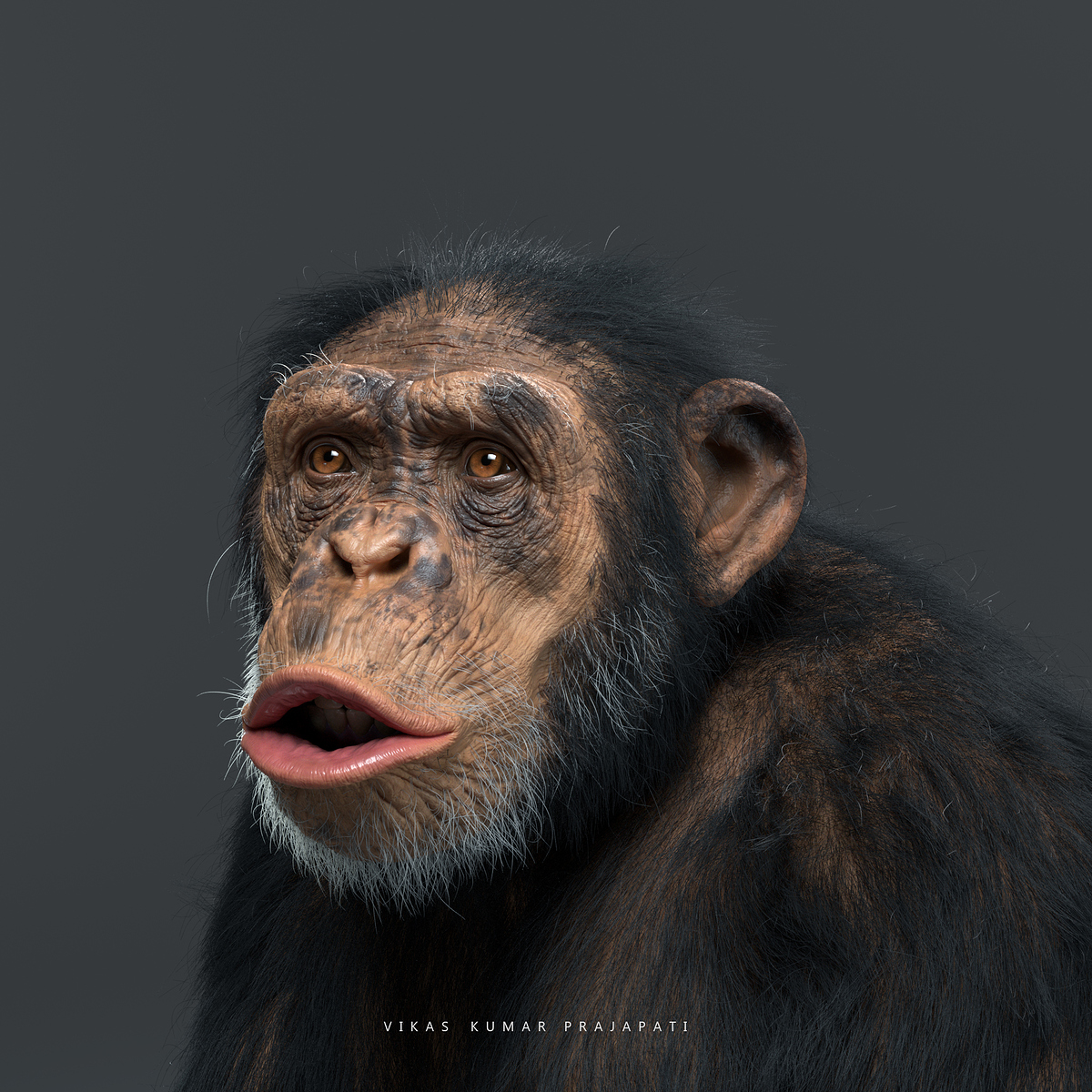 Chimp "Patrick" - ZBrushCentral