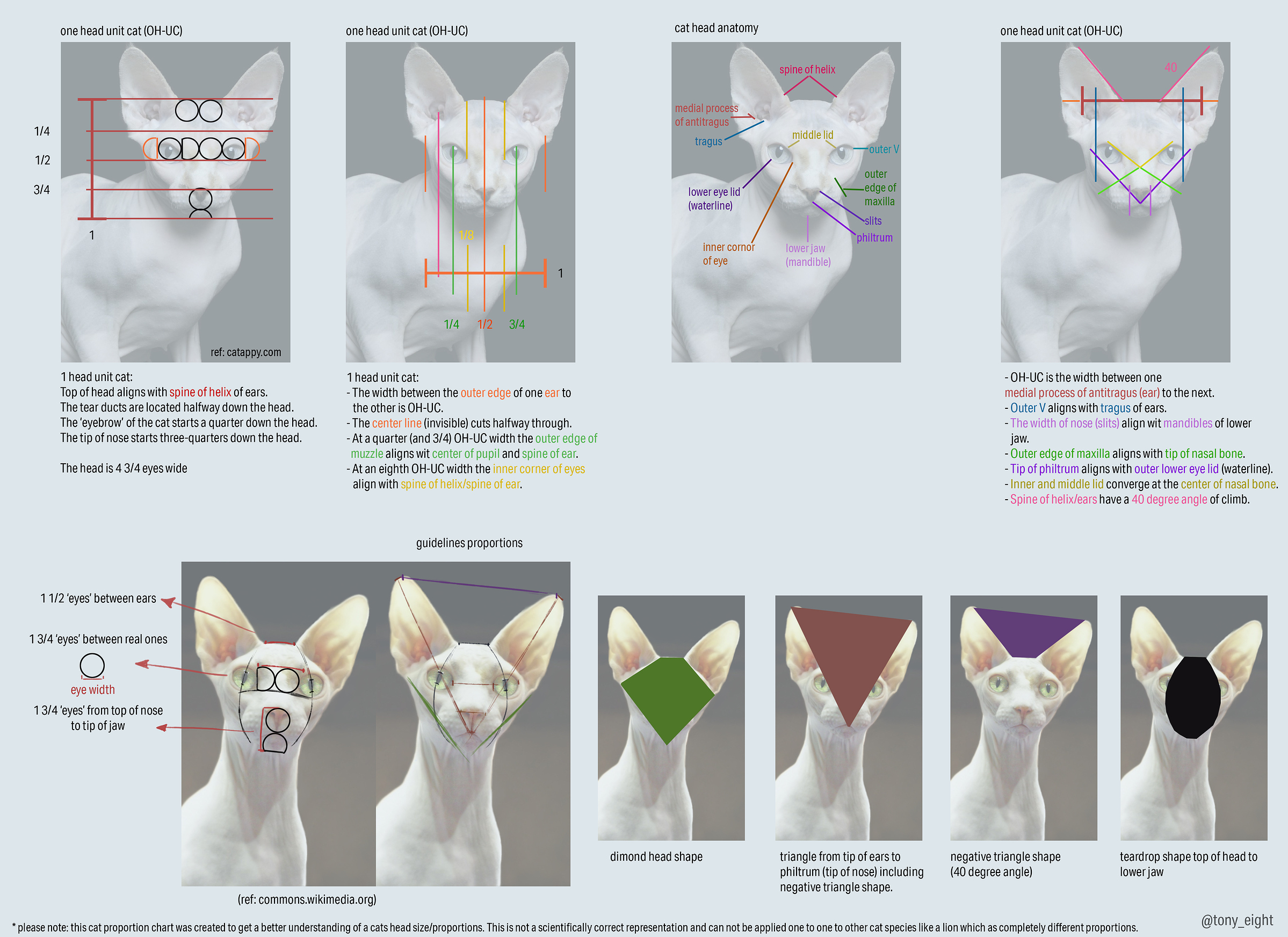 Sphynx cat (study 02) - ZBrushCentral