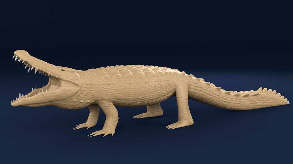 Crocodile Model/sculpture - ZBrushCentral