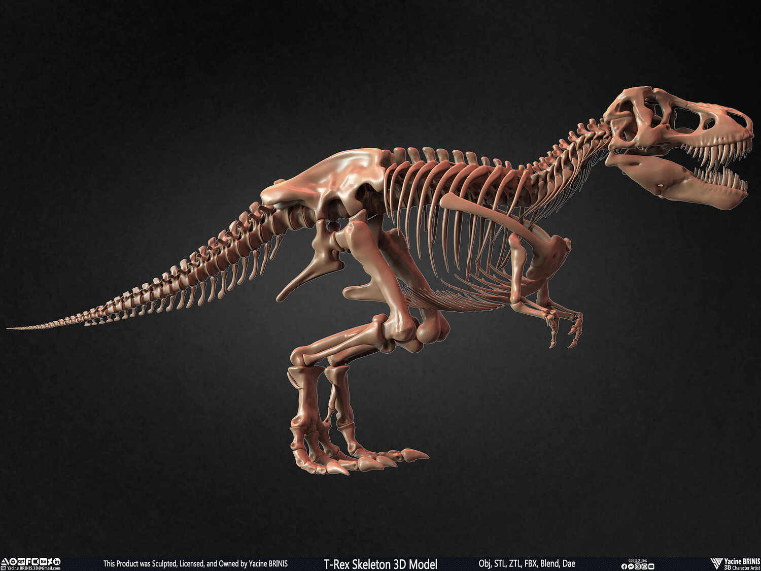 T-Rex Skeleton 3D Model - ZBrushCentral