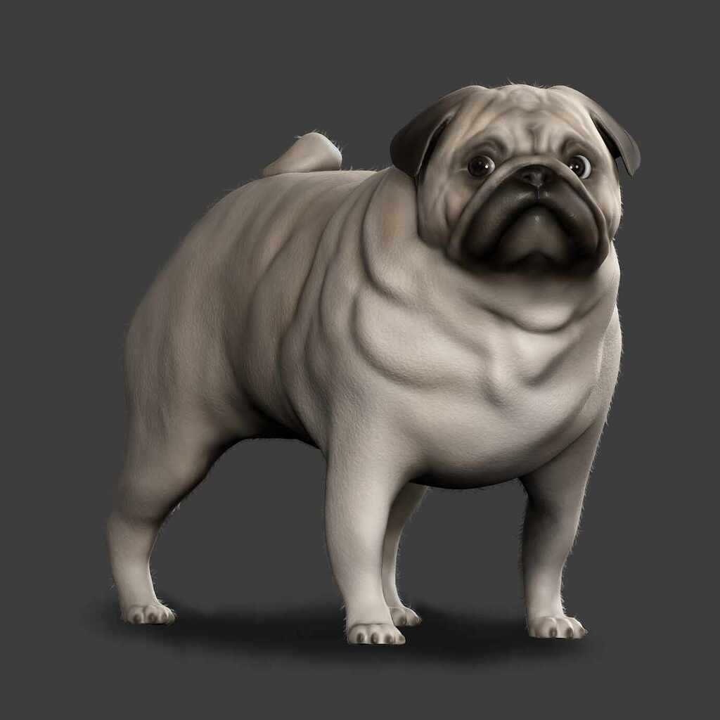 Pug 3D - ZBrushCentral