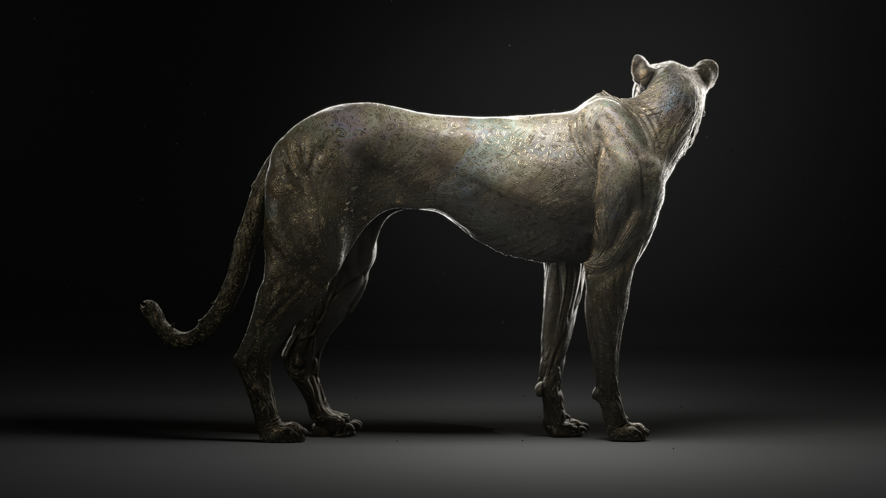 Cheetah Anatomy Study 01 - ZBrushCentral