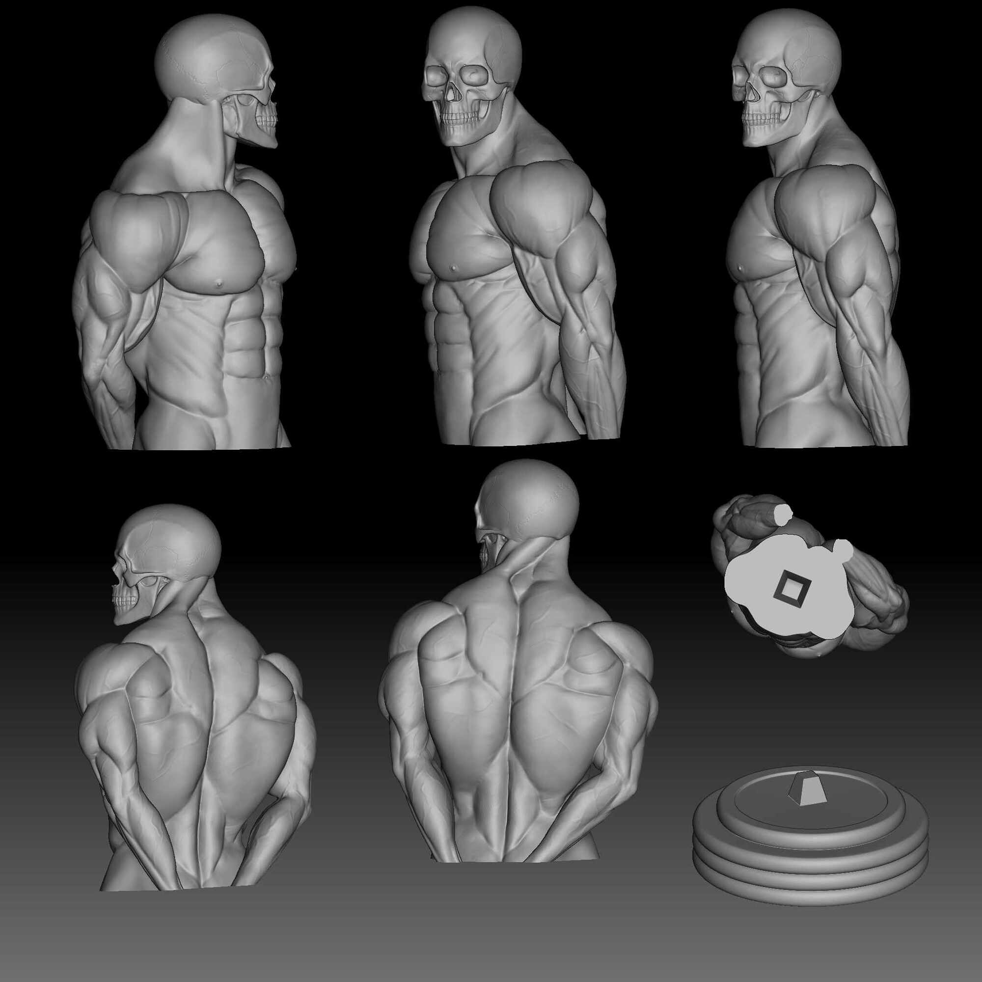 Bodybuilding poses - ZBrushCentral