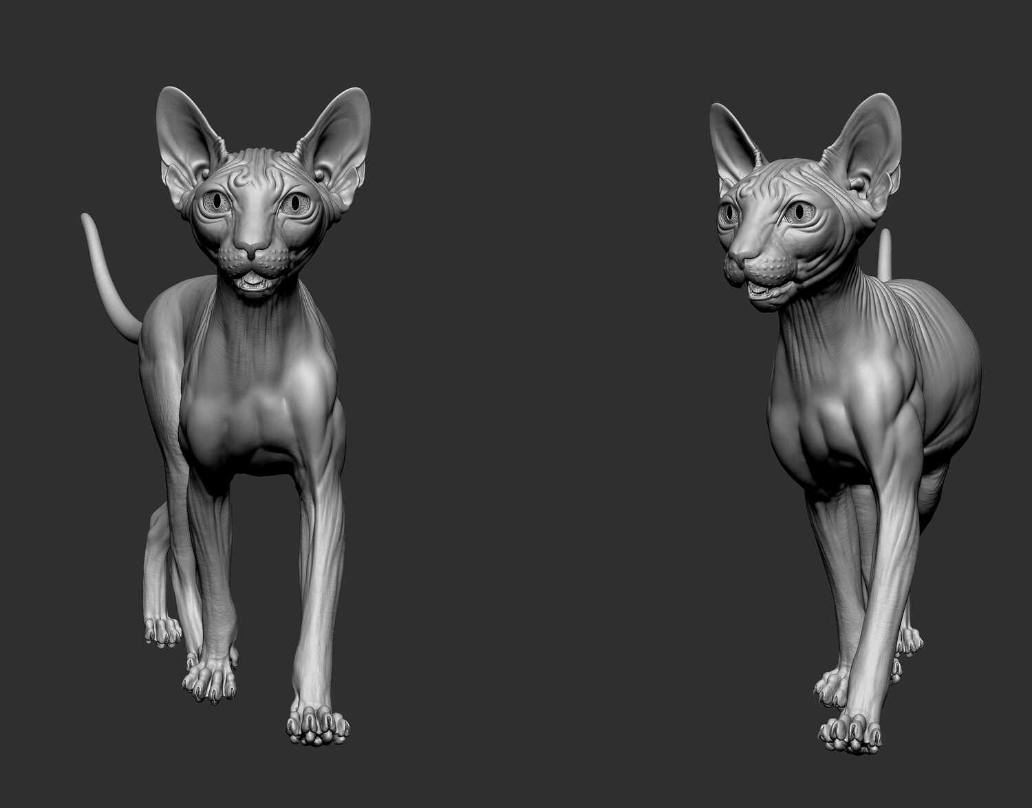 Sphinx cat - ZBrushCentral