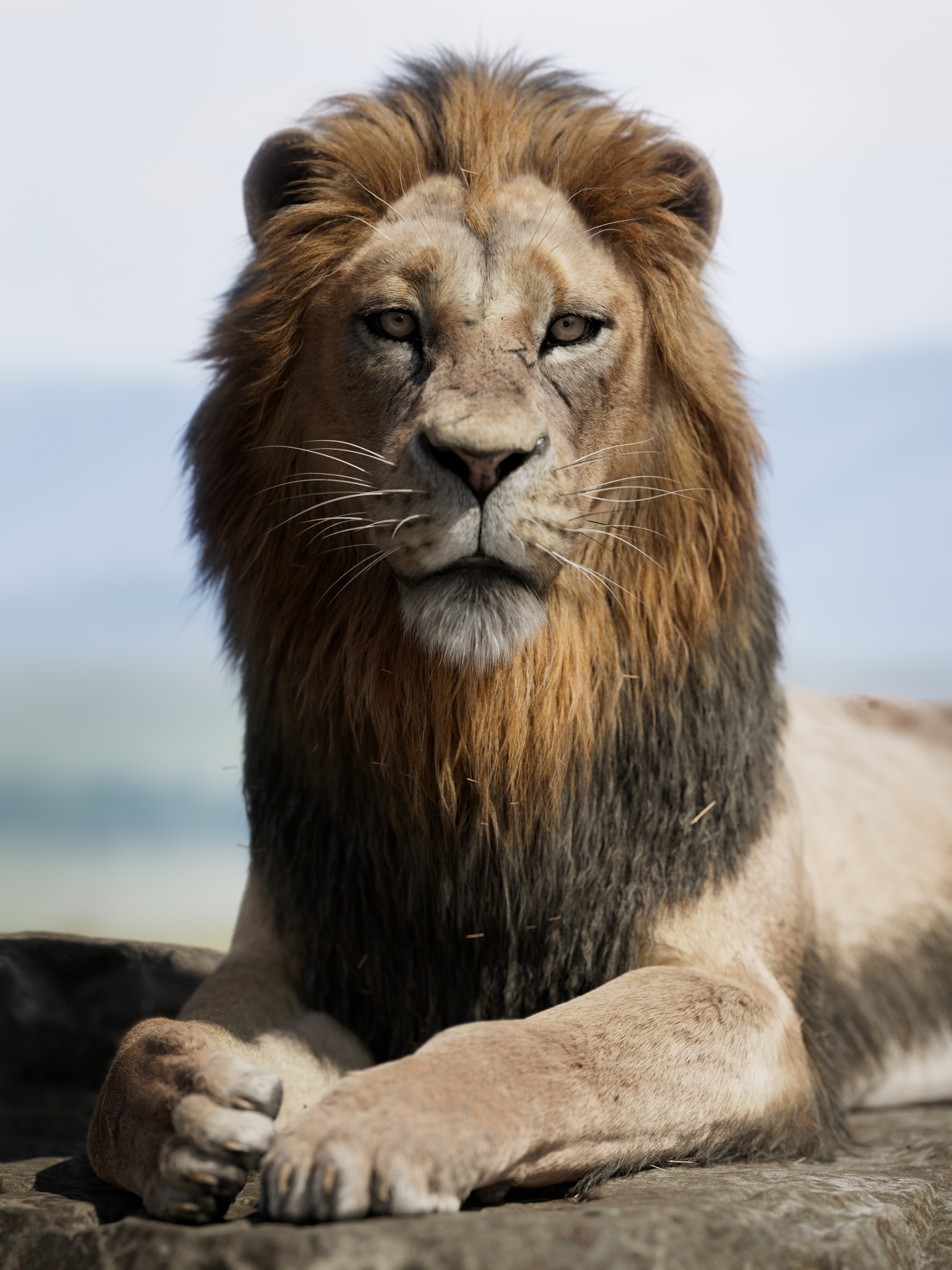 Lying Lion - ZBrushCentral