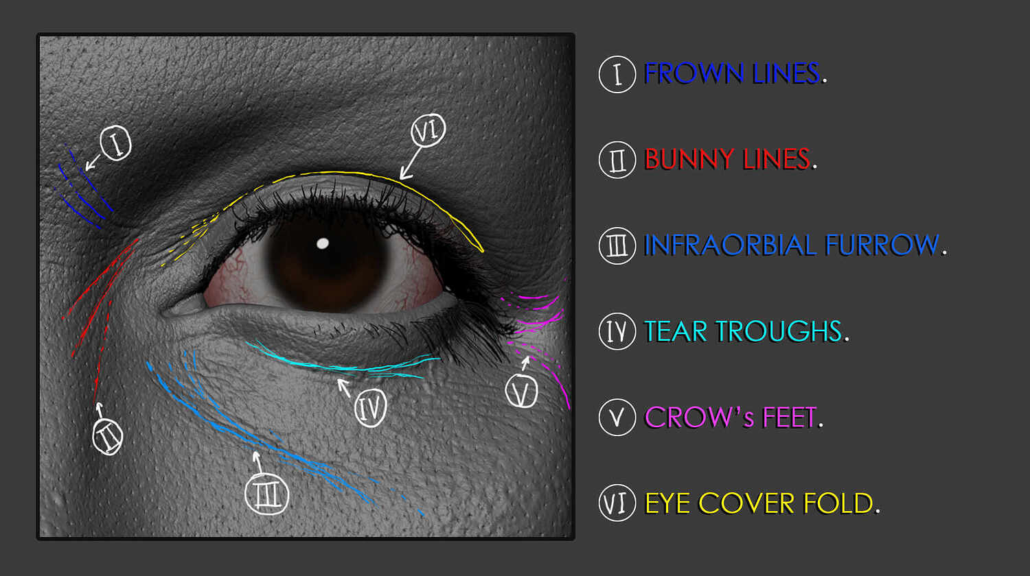 Sculpting Facial Features using Zbrush - ZBrushCentral