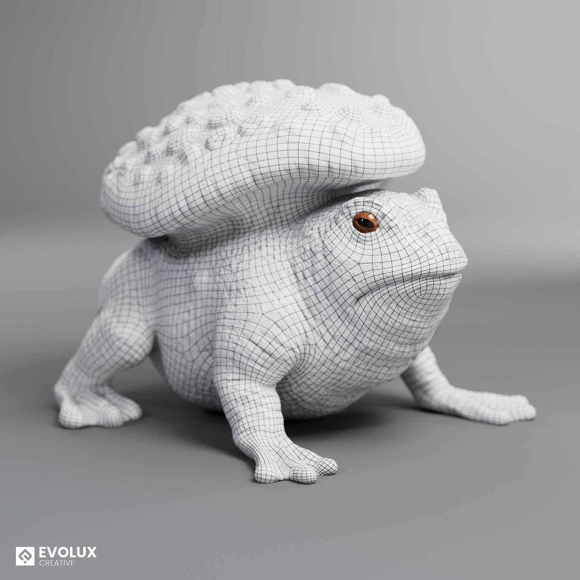 Mushroom Frog 3D Art By Evolux Creative Studio - ZBrushCentral