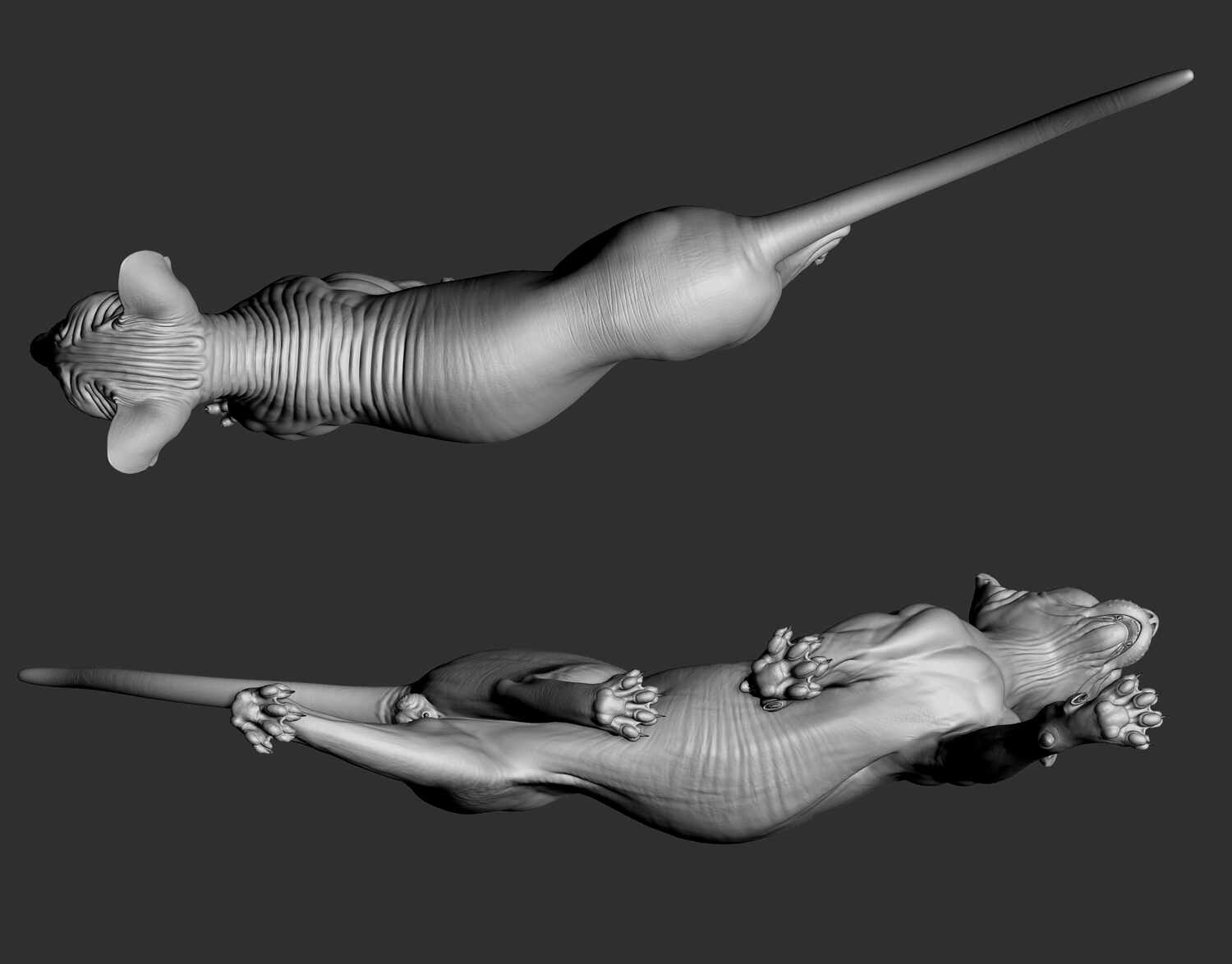 Sphinx cat - ZBrushCentral