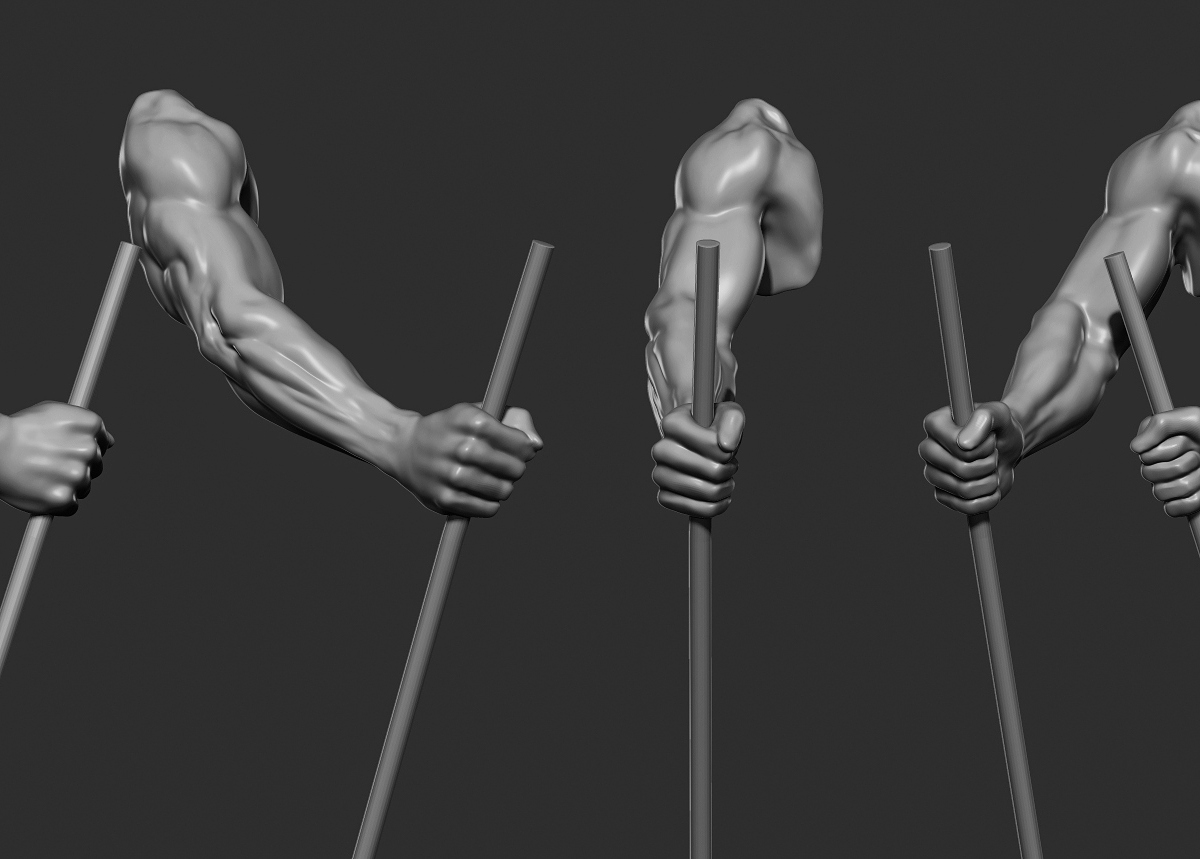 Anatomy Study ... - ZBrushCentral
