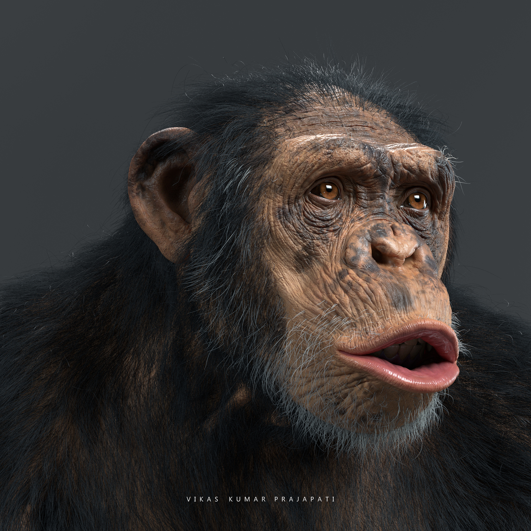 Chimp "Patrick" - ZBrushCentral