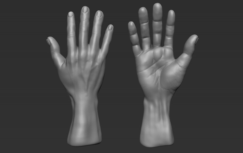 Hands Study Zbrushcentral