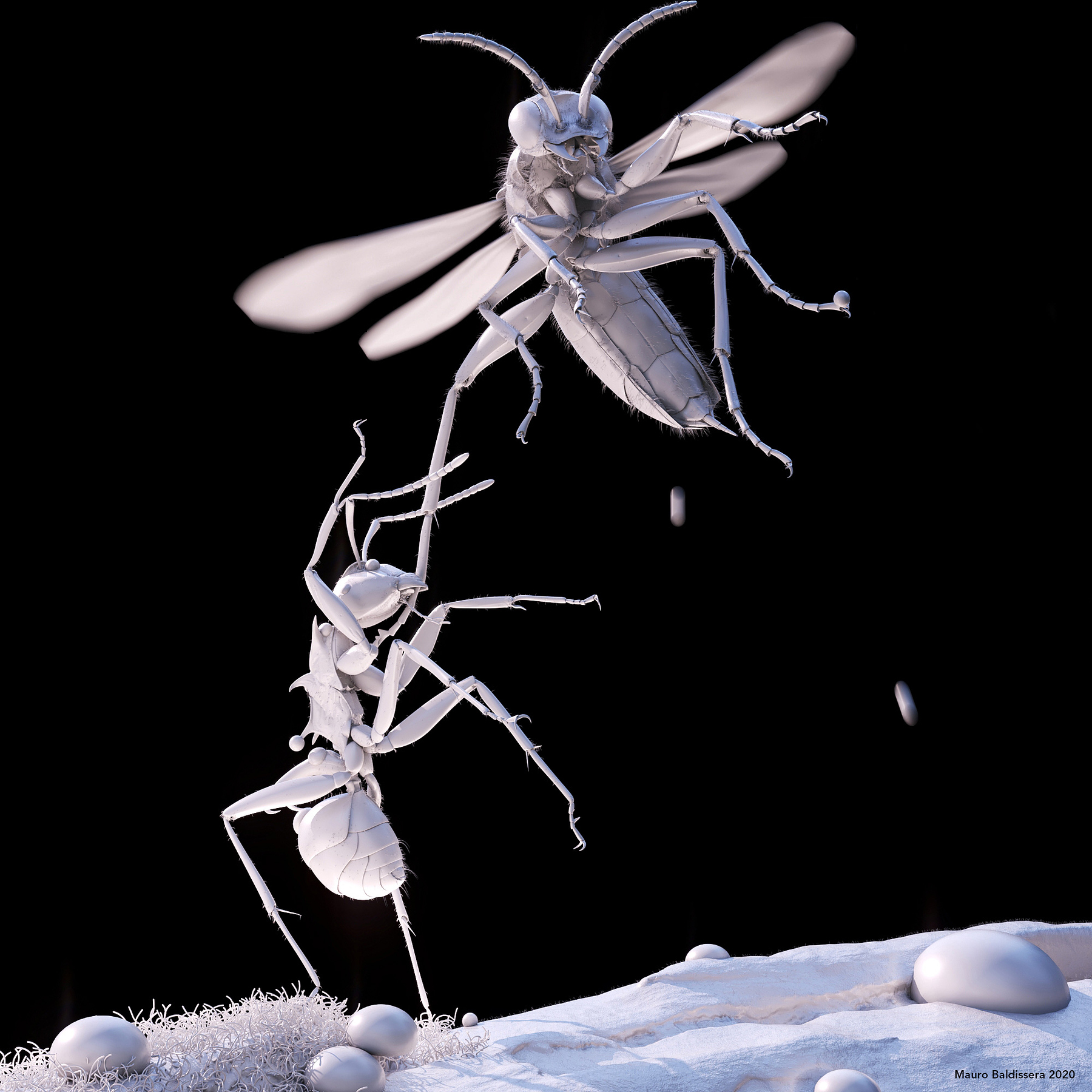 Bugs War, Ant VS Wasp - ZBrushCentral