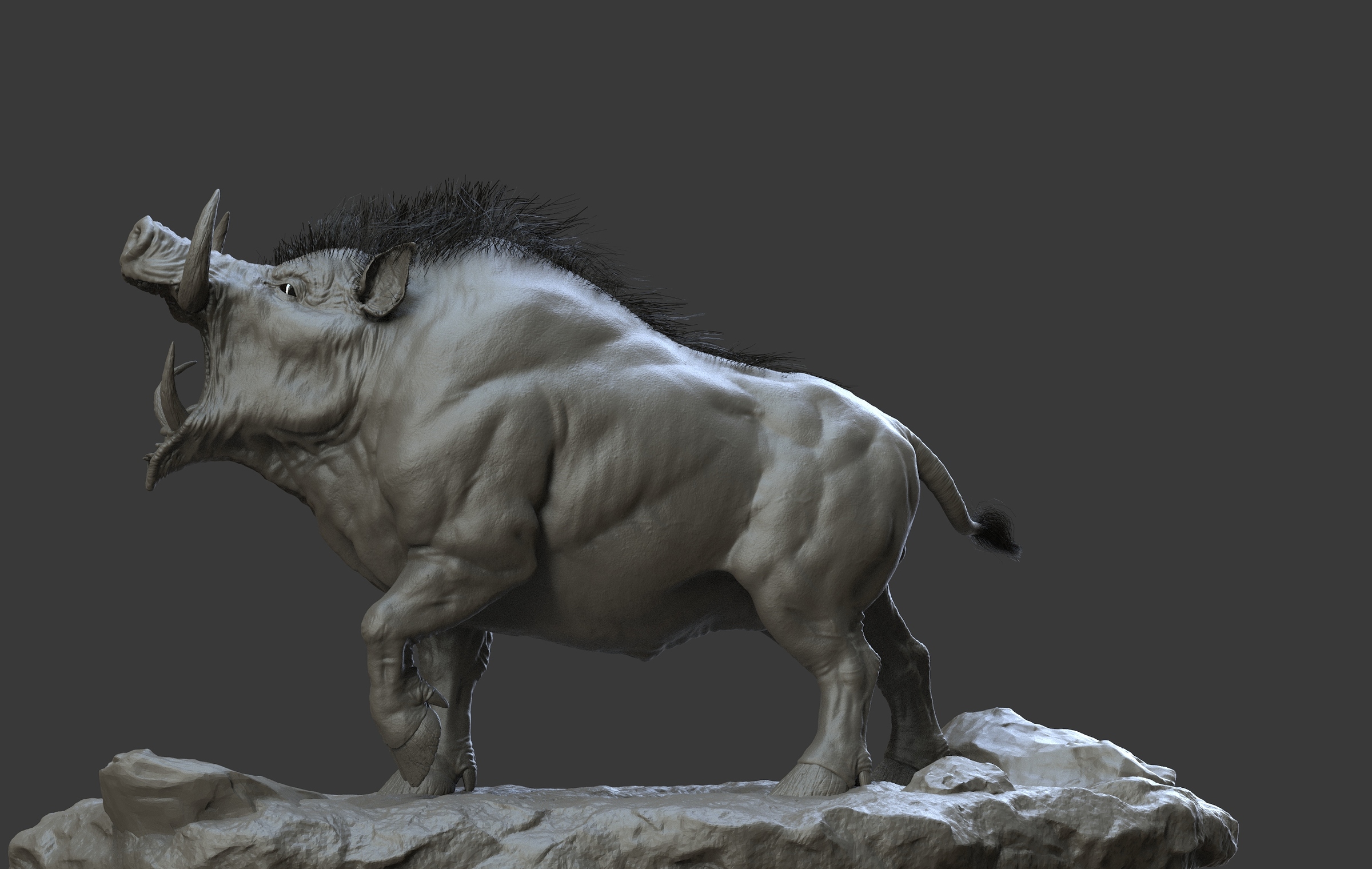 Wild Boar Anatomy Study - ZBrushCentral