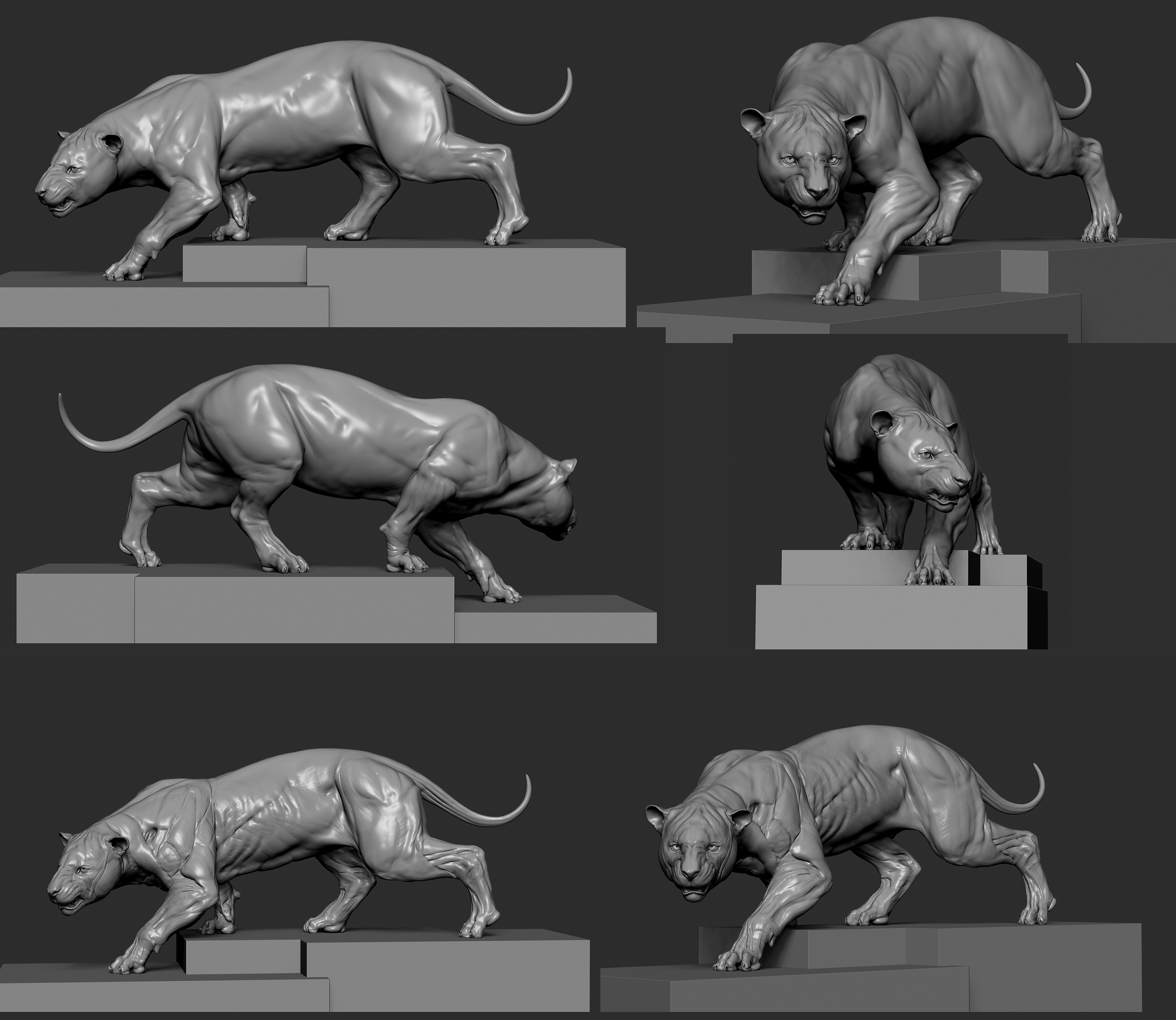Panthera Onca - anatomy study - ZBrushCentral
