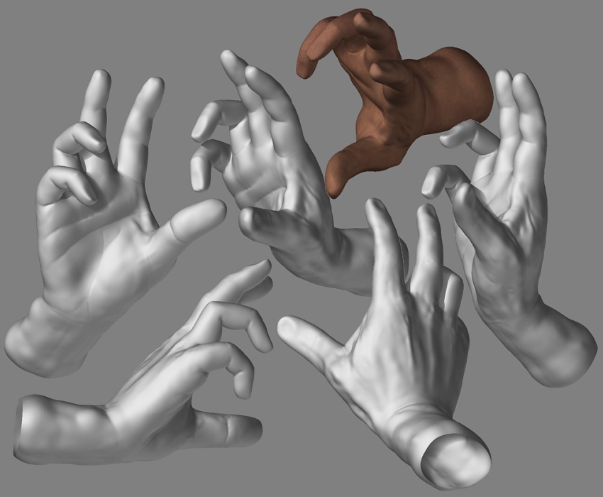 3d Hand Reference