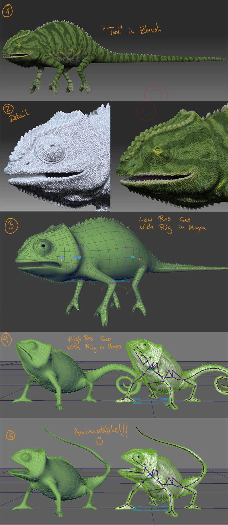 Chameleon - ZBrushCentral