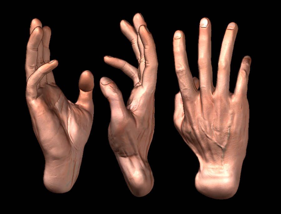 Hand Reference For 3d