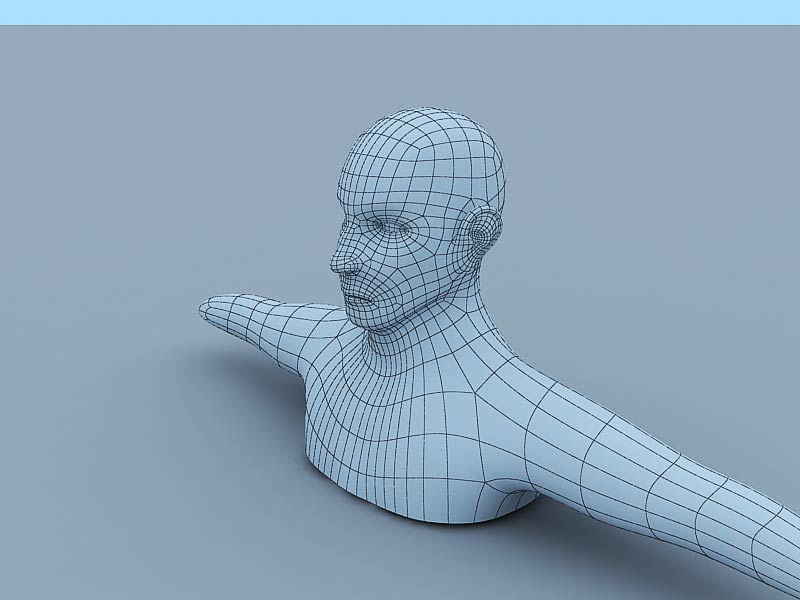 Digital character; anatomy of modeling - ZBrushCentral