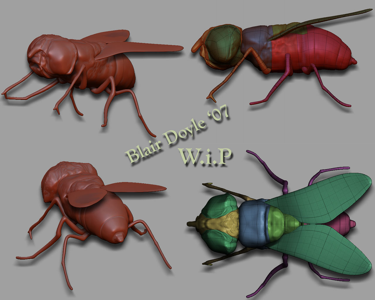 Zsphere Housefly WIP - ZBrushCentral