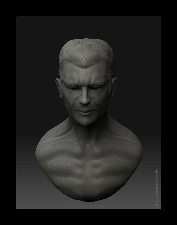 Head modeling session zscript & movie - ZBrushCentral