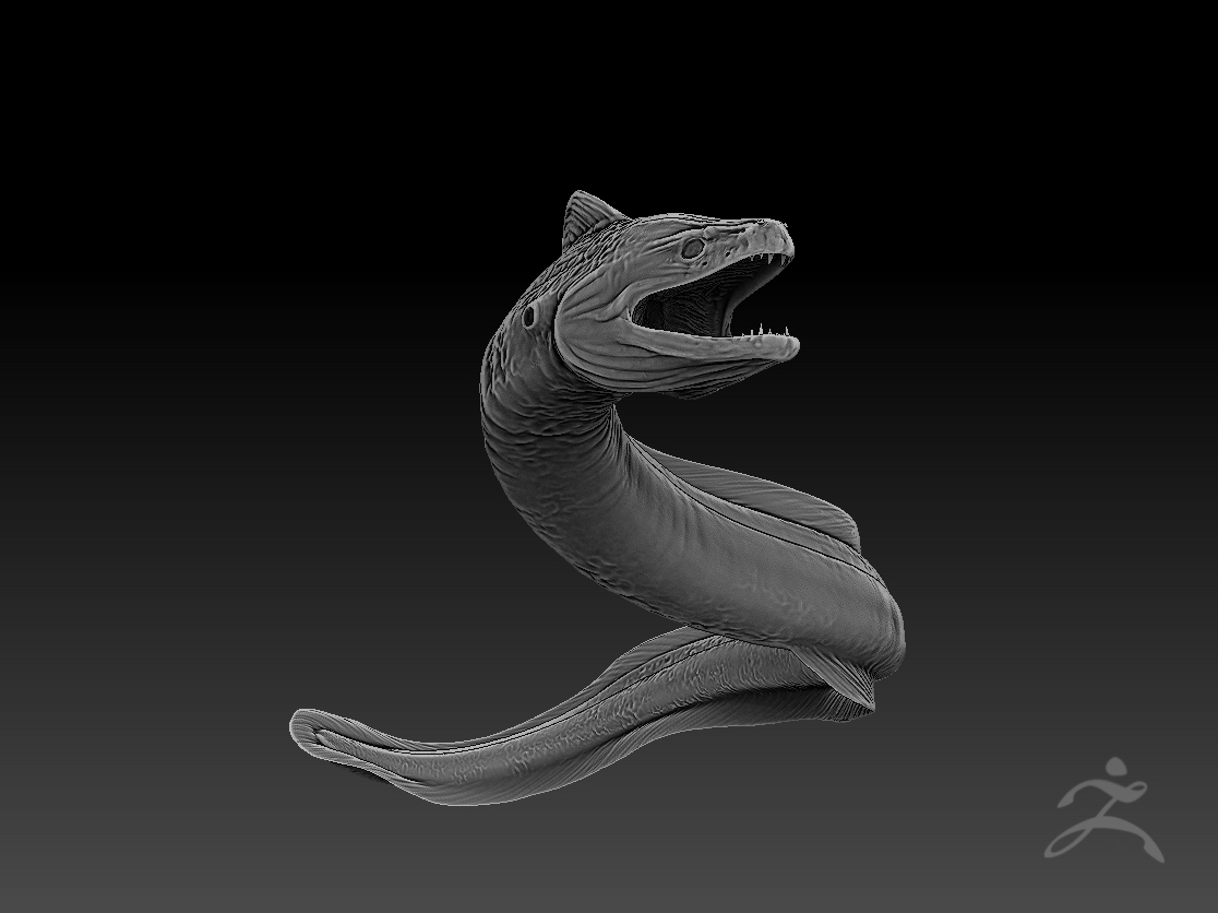 Animating a Moray Eel in Zbrush - ZBrushCentral
