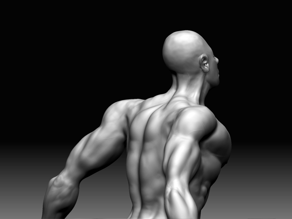 Exercise one - male character study - ZBrushCentral