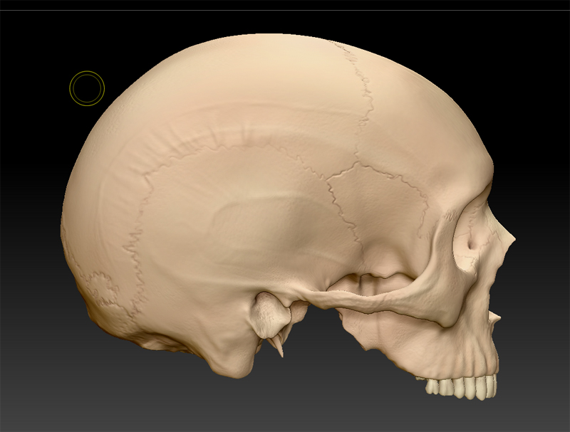 Help with UV mapping for a newbie - ZBrushCentral