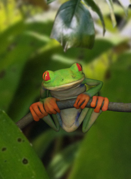 Tree Frog - ZBrushCentral