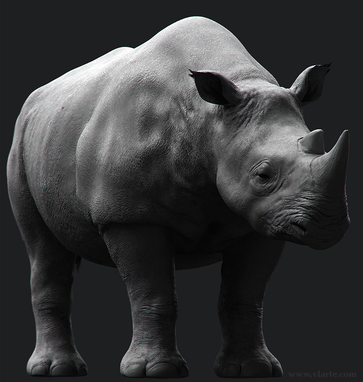 Rhinoceros - ZBrushCentral