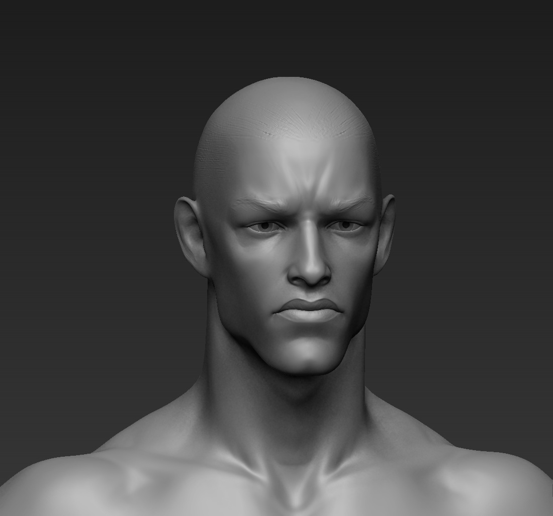 Anatomy Study Zbrushcentral