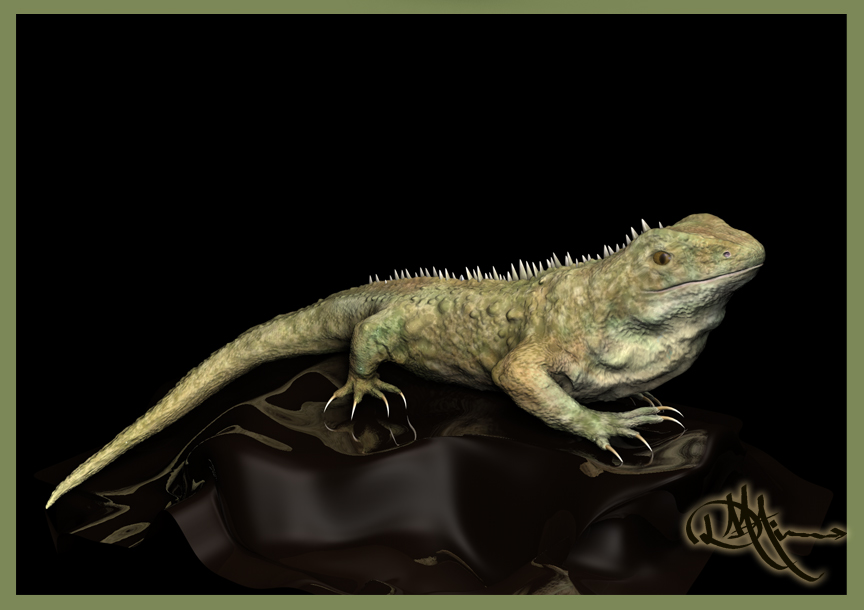 Tuatara... Zbrush 3 + C4D - ZBrushCentral