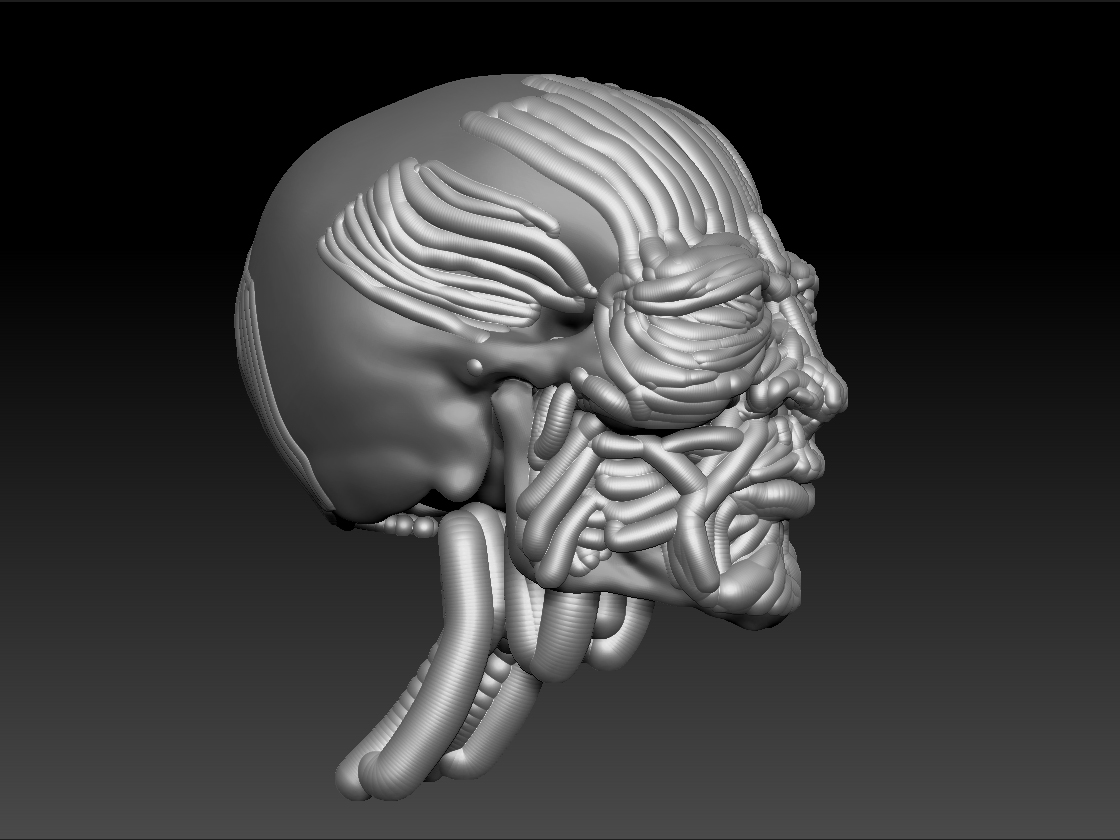Zbrush startup and learning - ZBrushCentral