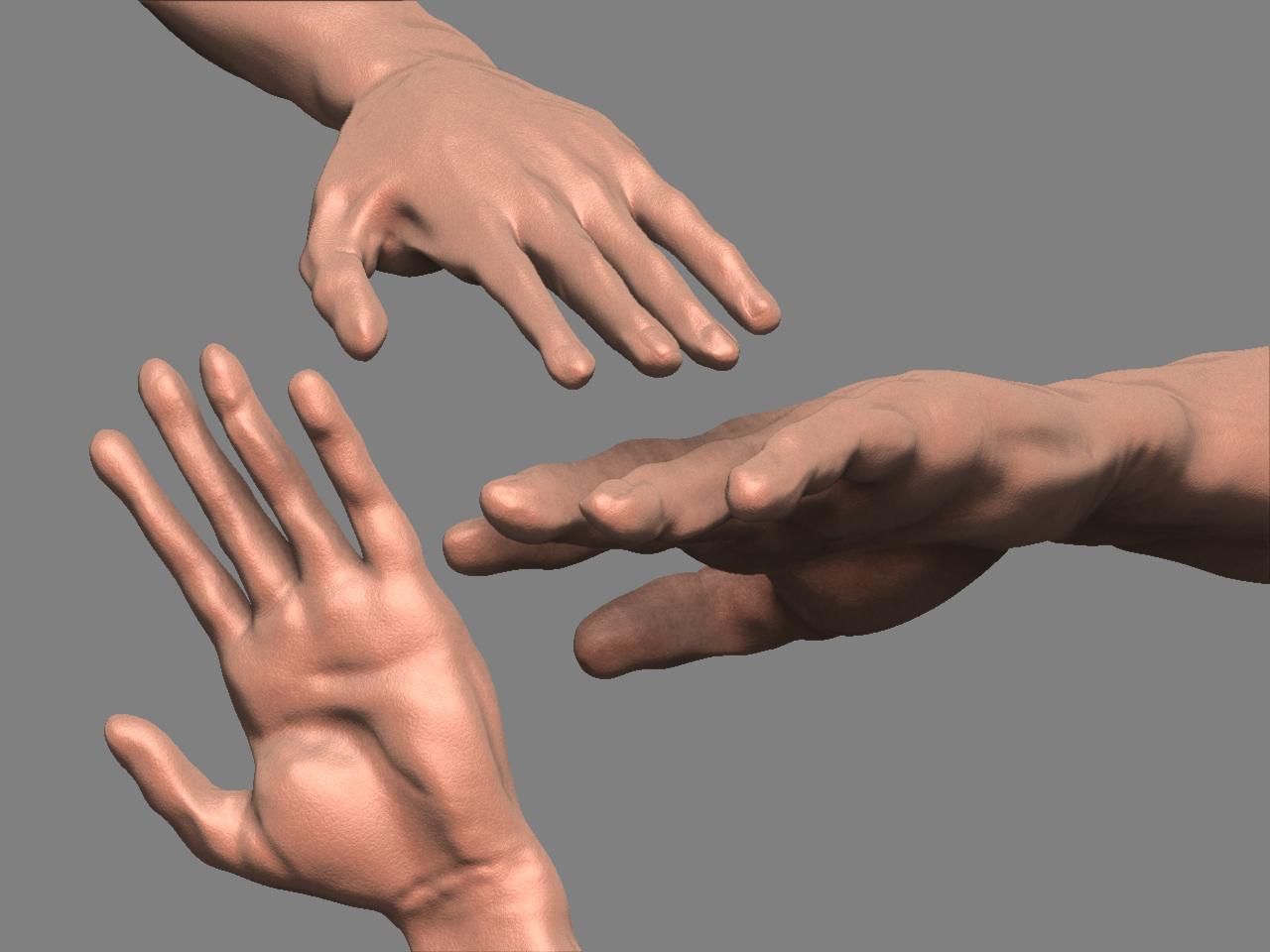 Cg talk Handworkshop: Post your hands! - ZBrushCentral