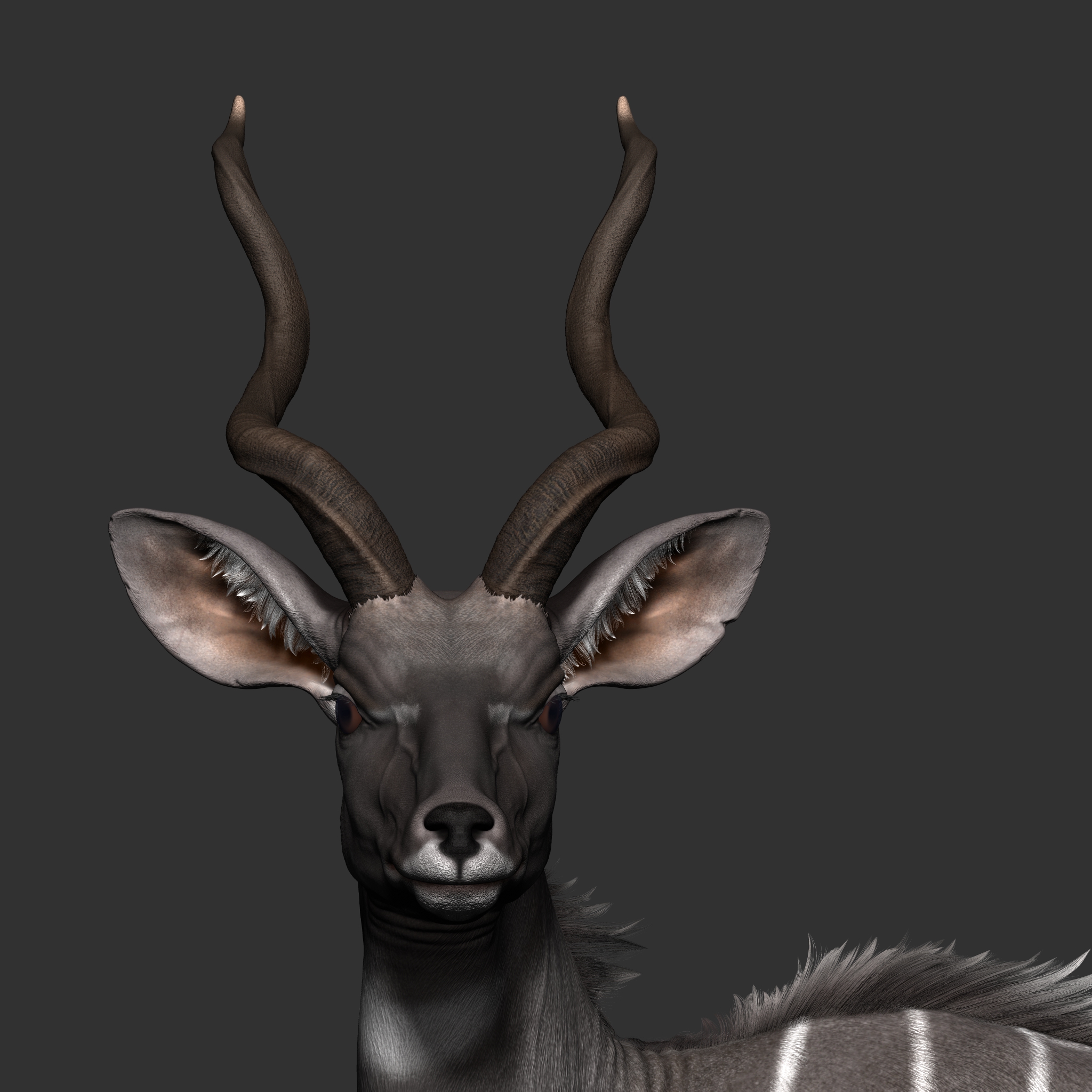 Lesser Kudu : - ZBrushCentral