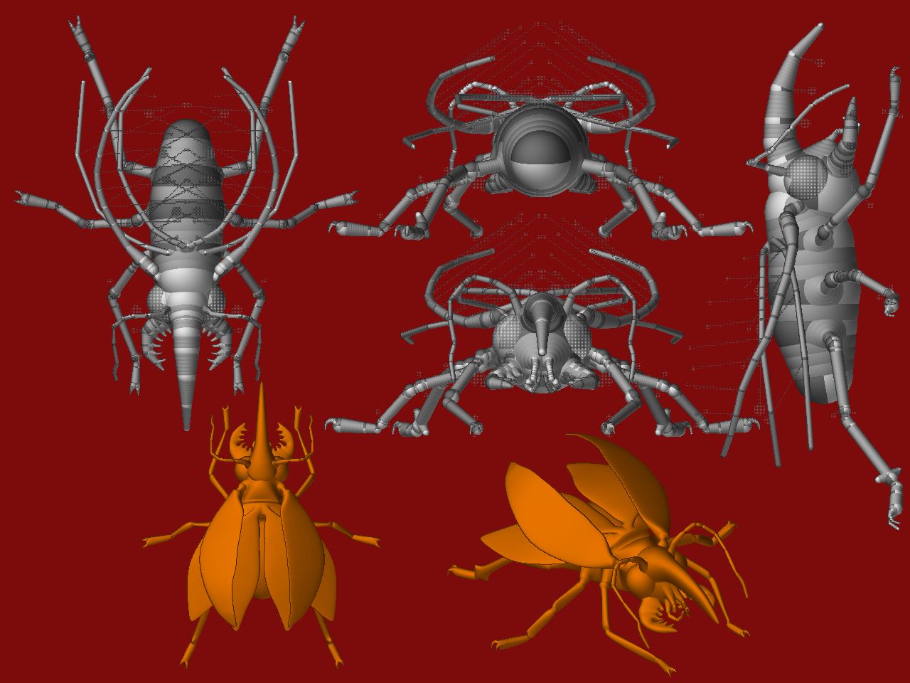 My first post, my first beetle - ZBrushCentral