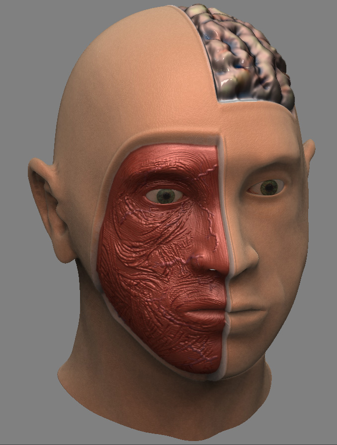 facial cutout - ZBrushCentral