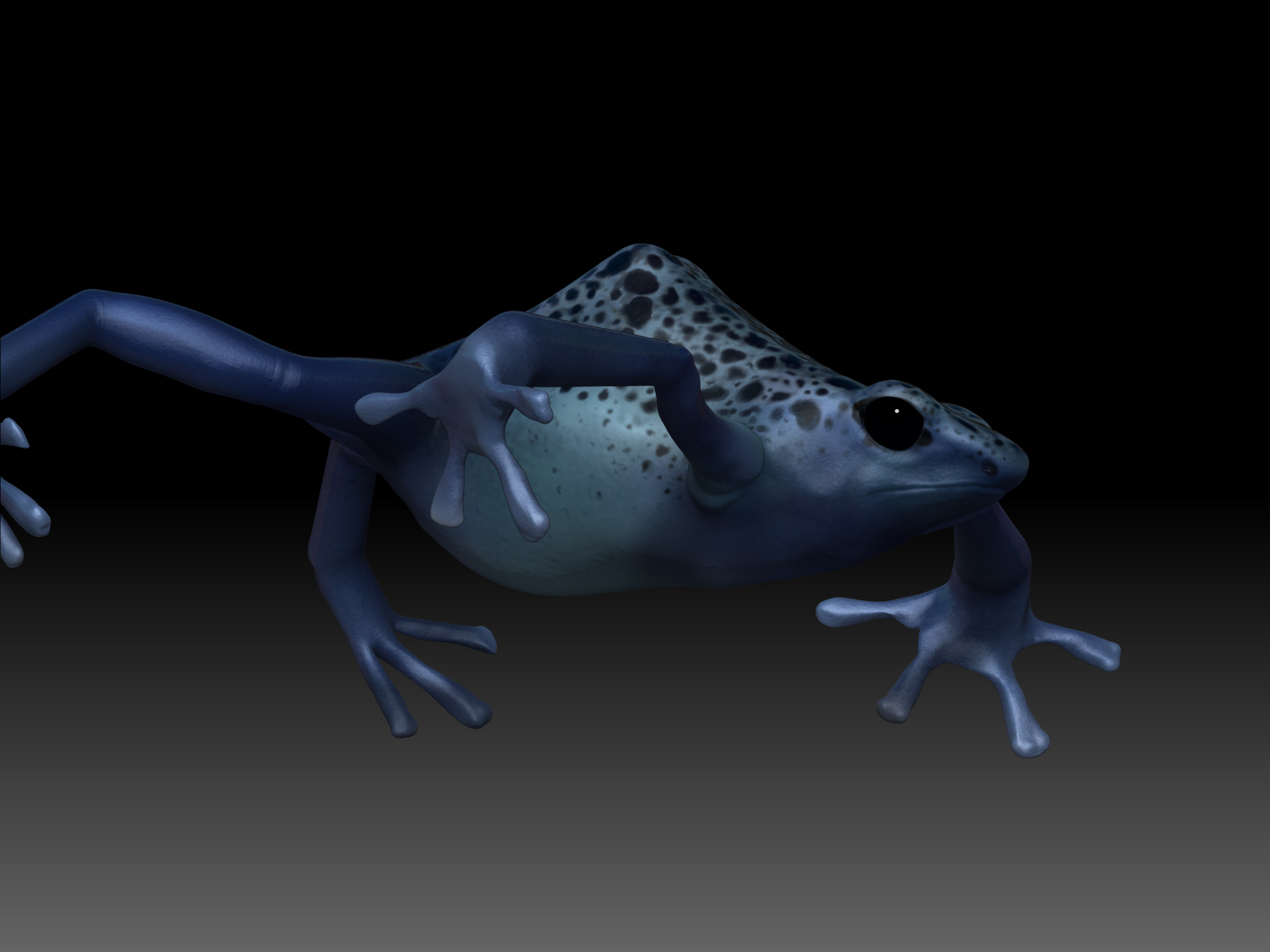 Froggy - ZBrushCentral