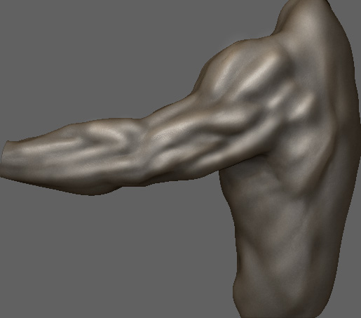 Sculpting Practice V2.0 - ZBrushCentral