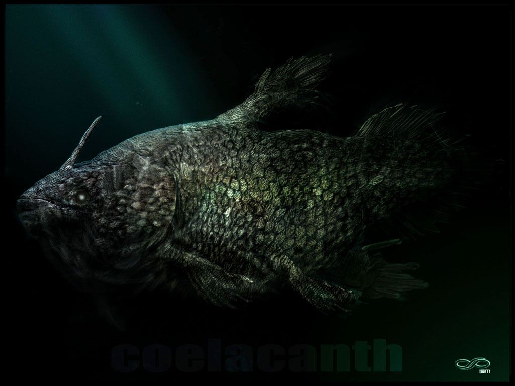 Modified Coelacanth - ZBrushCentral