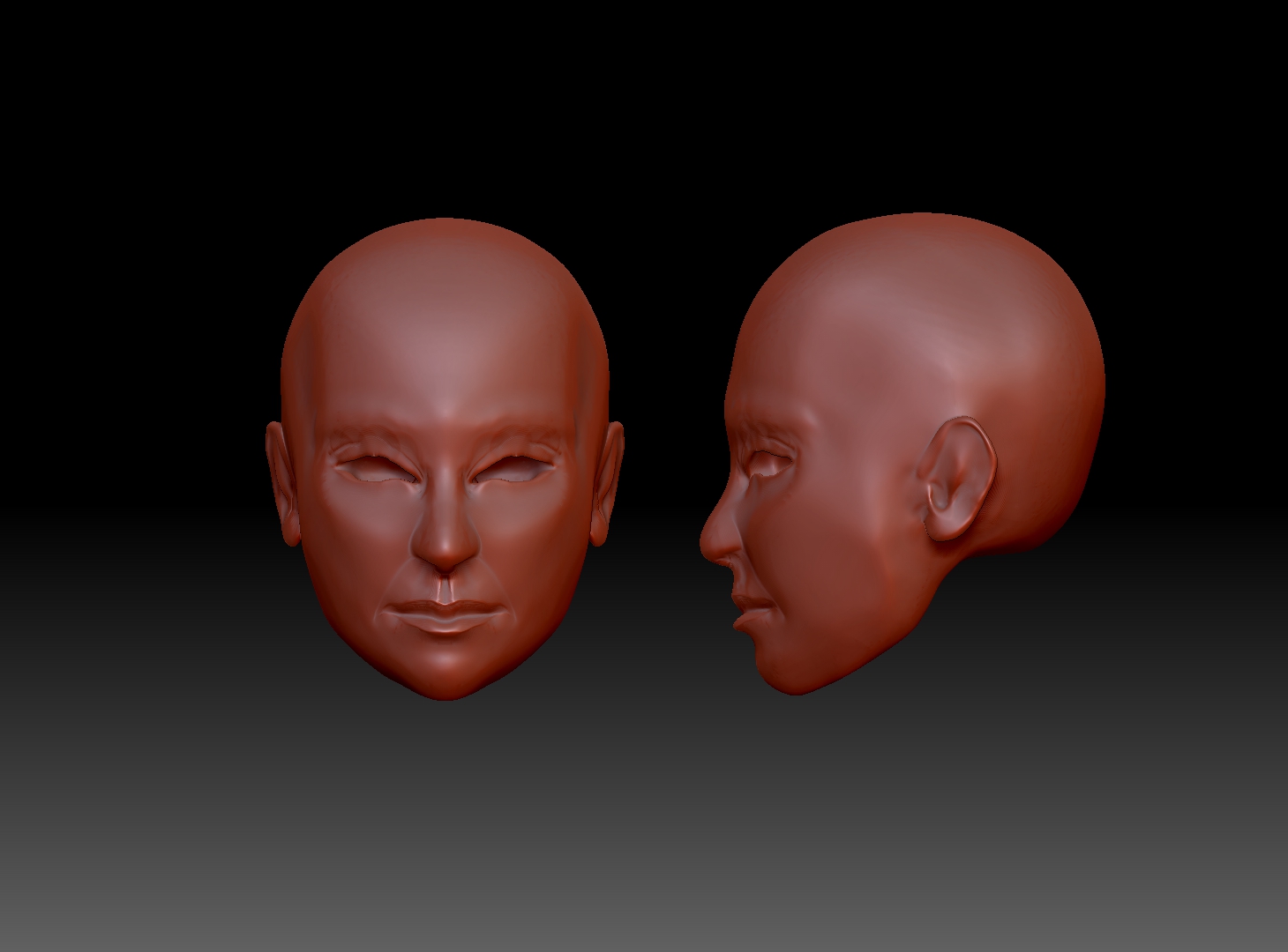 head study. - ZBrushCentral