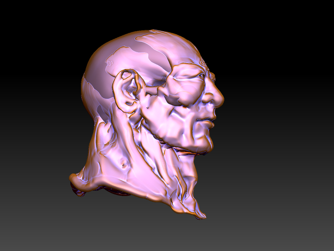 Zbrush startup and learning - ZBrushCentral