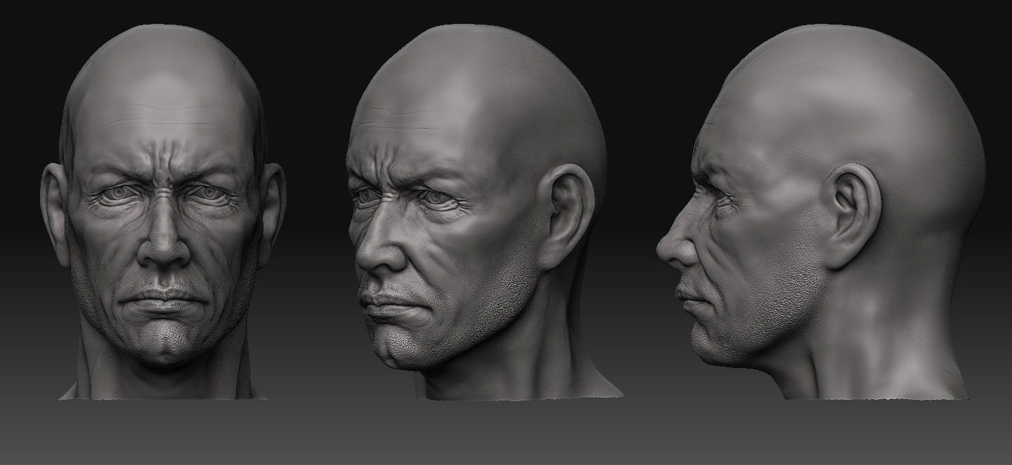 Human Male Face Reference