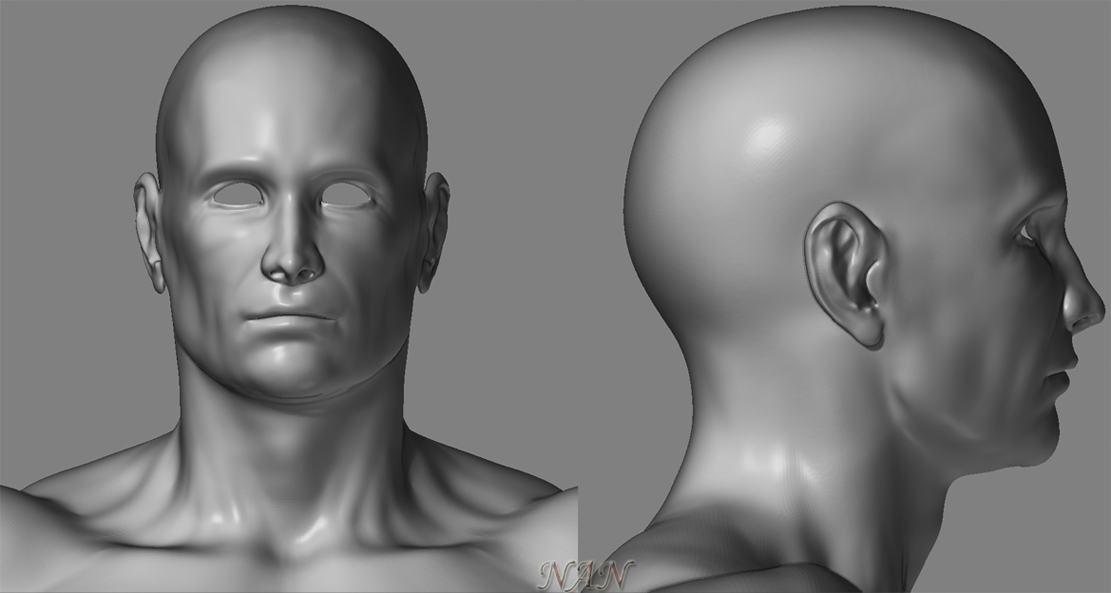 Realistic Male - ZBrushCentral