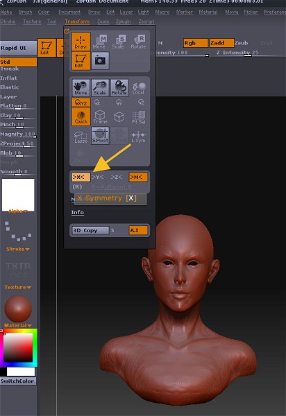 sculpting on both sides - ZBrushCentral