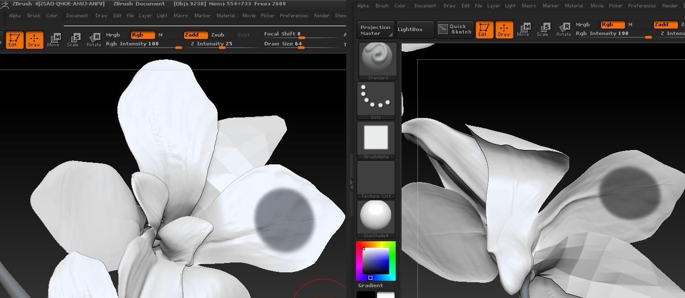 Answered: double sided polypainting - ZBrushCentral