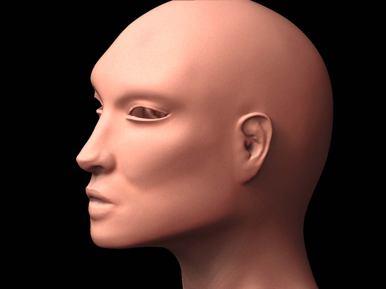 Female Study (nudity) - ZBrushCentral