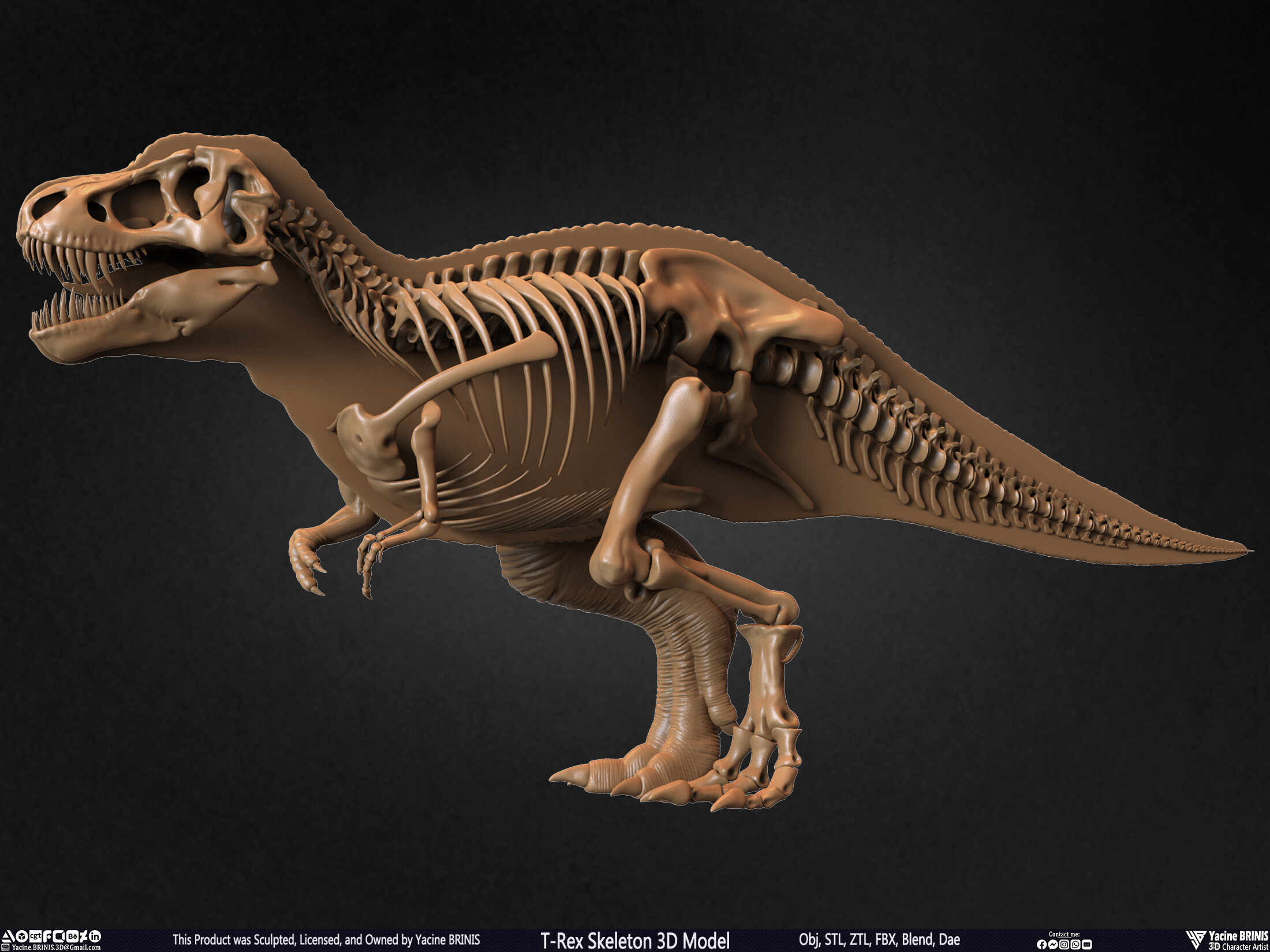 T-Rex Skeleton 3D Model - ZBrushCentral