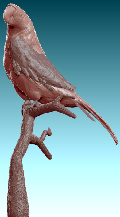 Beautiful wildlife - ZBrushCentral
