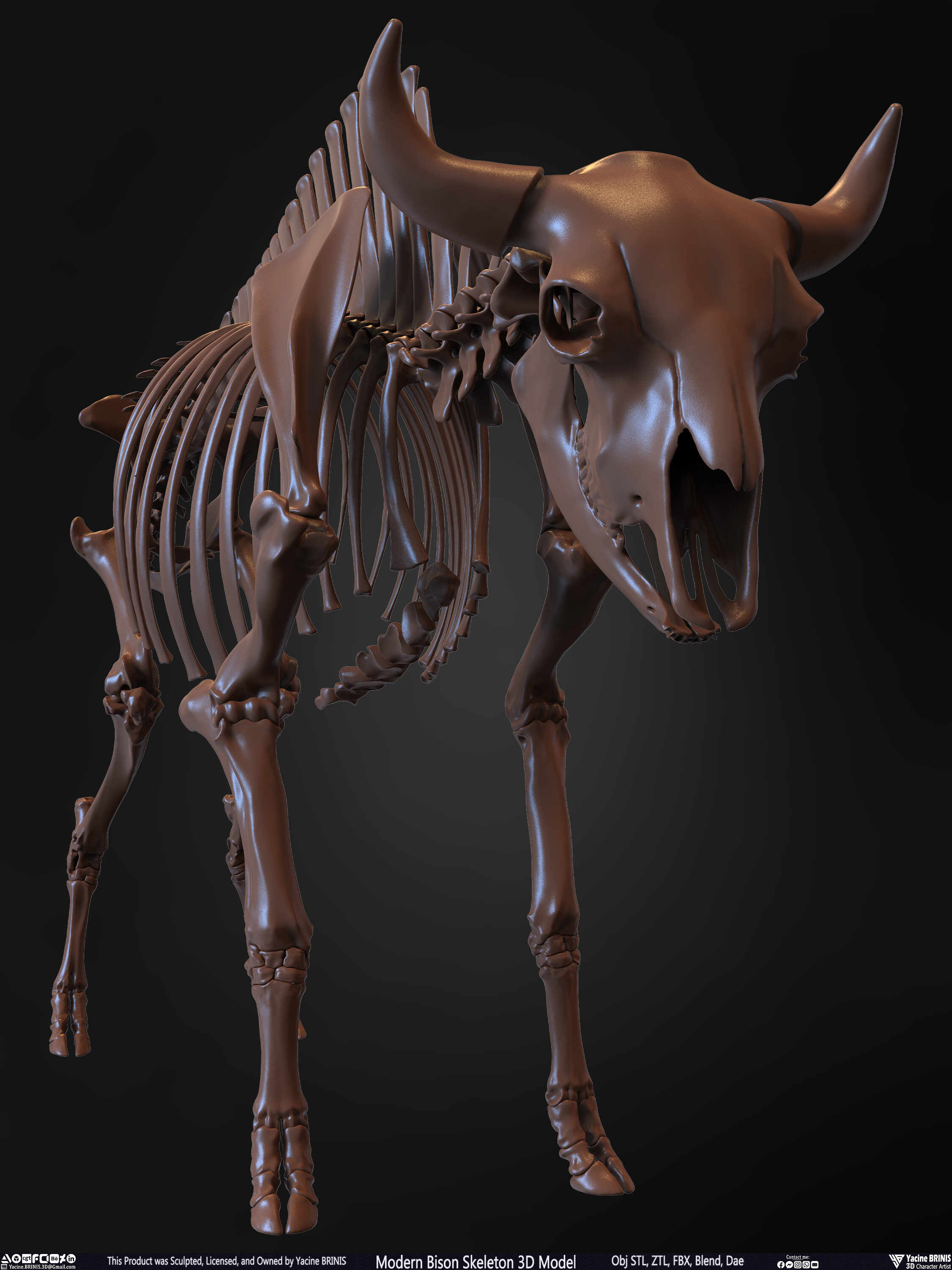 Modern Bison Skeleton 3D Model - ZBrushCentral